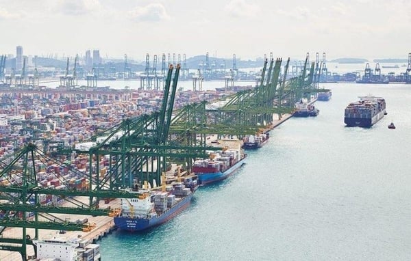 What can stop ocean freight container spot rates reaching pandemic levels?